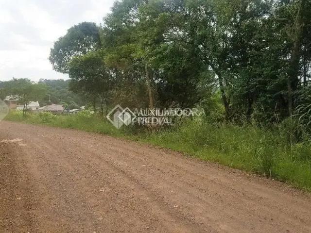 Terreno / Lote para Venda em Dois Irmãos/RS Travessão