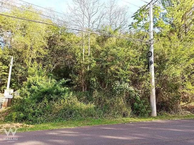 Terreno / Lote para Venda em Dois Irmãos/RS Travessão