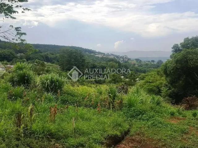 Terreno / Lote para Venda em Dois Irmãos/RS Travessão