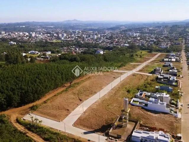 Terreno / Lote para Venda em Dois Irmãos/RS União