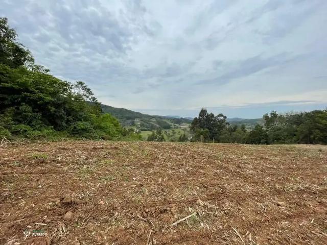 Terreno / Lote para Venda em Dois Irmãos/RS Vale Direito