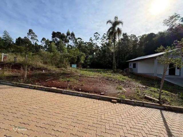 Terreno / Lote para Venda em Dois Irmãos/RS Vale Direito