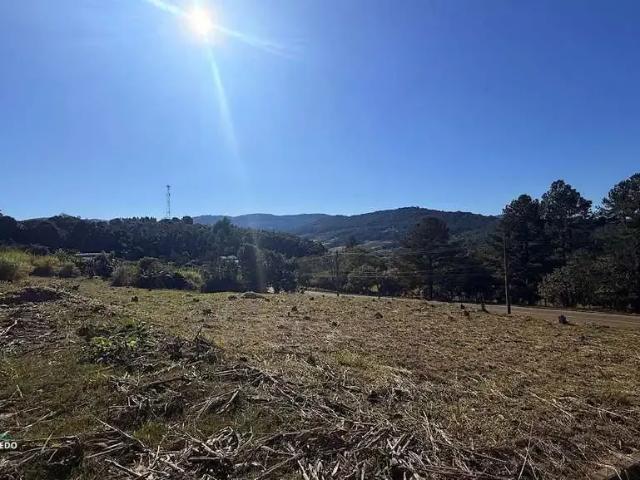 Terreno / Lote para Venda em Dois Irmãos/RS Vale Direito