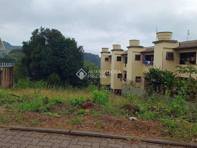 Terreno / Lote para Venda em Dois Irmãos/RS Vale Direito