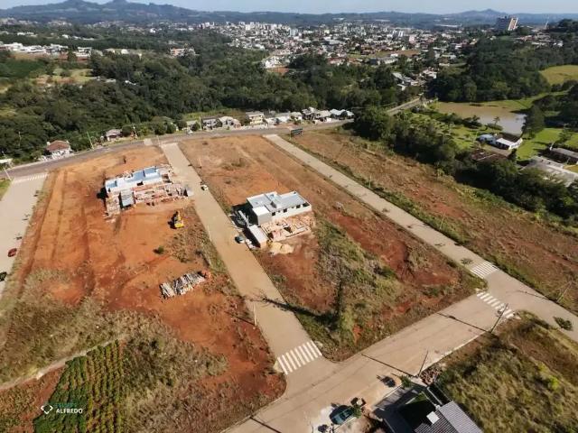 Terreno / Lote para Venda em Dois Irmãos/RS Vale Direito