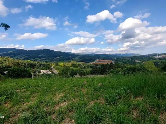 Terreno / Lote para Venda em Dois Irmãos/RS Vale Esquerdo