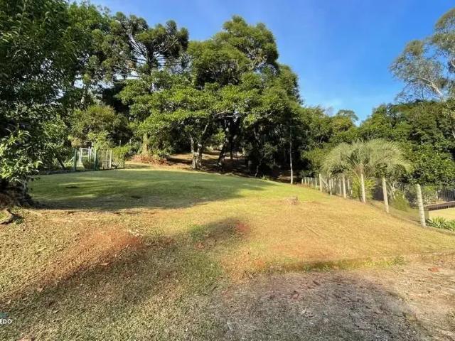 Terreno / Lote para Venda em Dois Irmãos/RS Vale Esquerdo