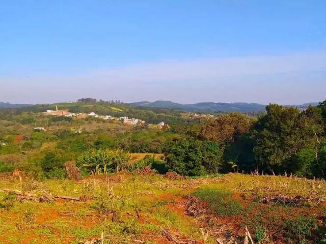 Terreno / Lote para Venda em Dois Irmãos/RS Vale Esquerdo
