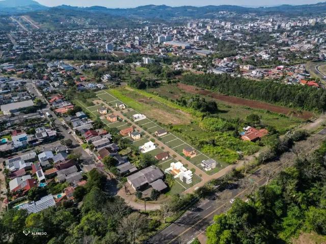 Terreno / Lote para Venda em Dois Irmãos/RS Vale Verde