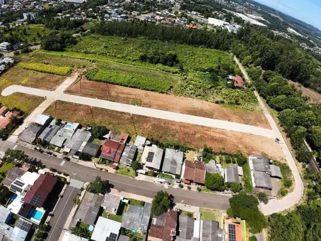Terreno / Lote para Venda em Dois Irmãos/RS Vale Verde