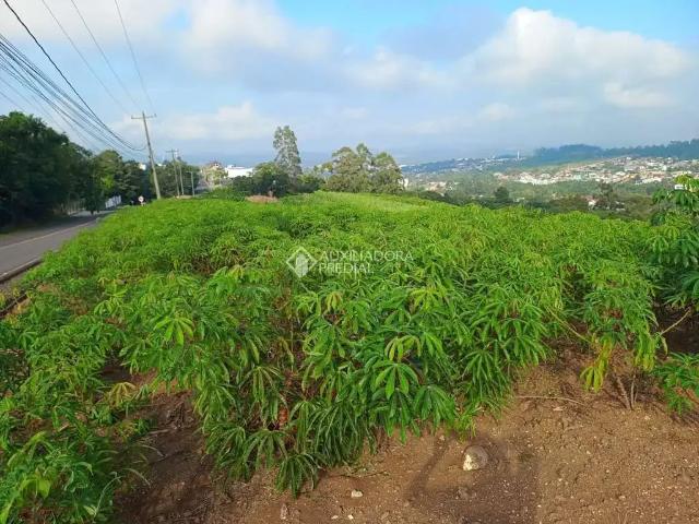 Terreno / Lote para Venda em Dois Irmãos/RS Vale Verde