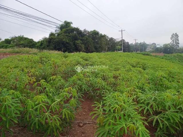 Terreno / Lote para Venda em Dois Irmãos/RS Vale Verde