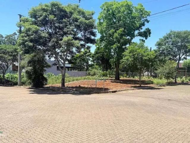 Terreno / Lote para Venda em Dois Irmãos/RS Vila Rosa
