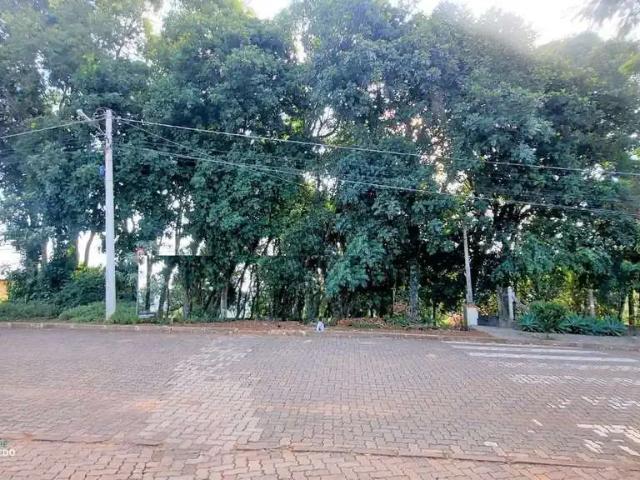 Terreno / Lote para Venda em Dois Irmãos/RS Vila Rosa