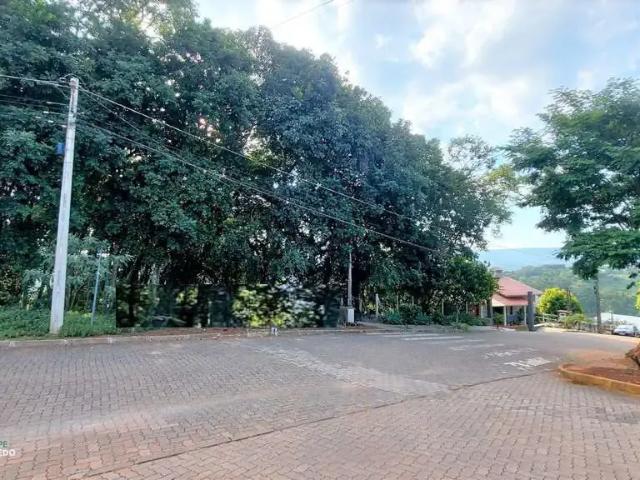Terreno / Lote para Venda em Dois Irmãos/RS Vila Rosa