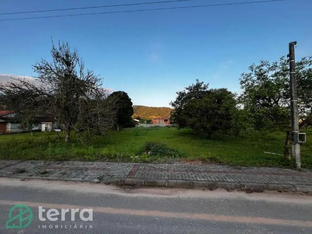 Terreno / Lote para Venda em Doutor Pedrinho/SC Centro
