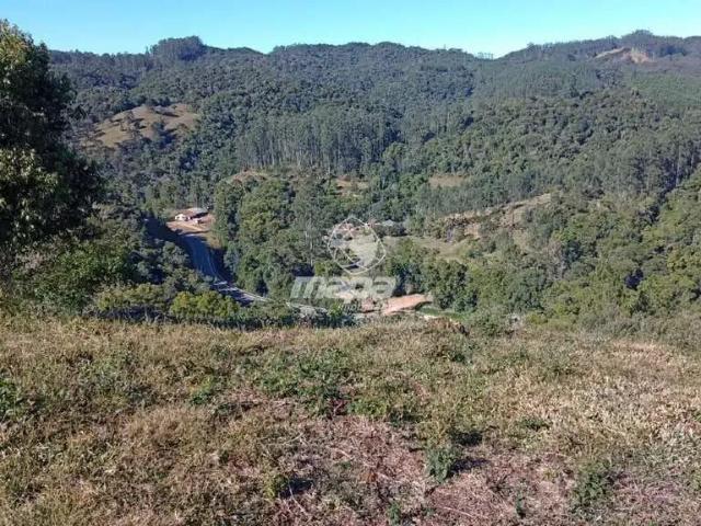 Terreno / Lote para Venda em Doutor Pedrinho/SC Centro