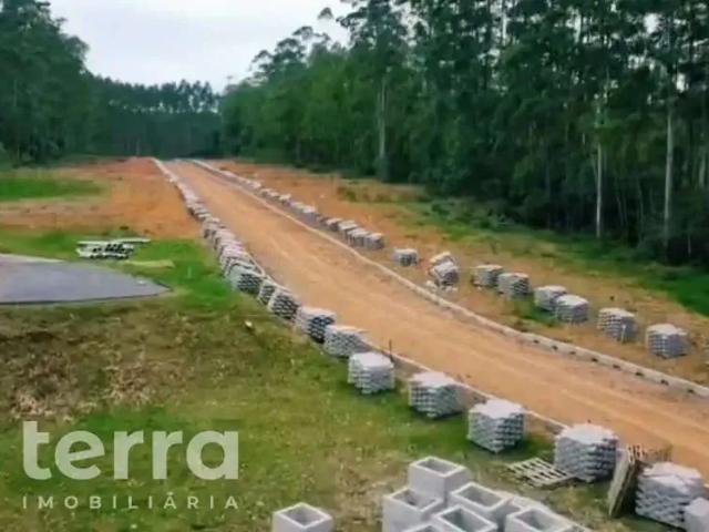 Terreno / Lote para Venda em Doutor Pedrinho/SC Centro