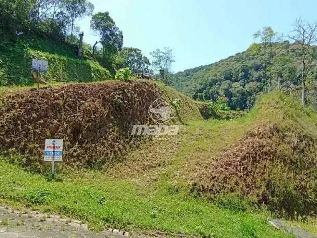 Terreno / Lote para Venda em Doutor Pedrinho/SC Centro