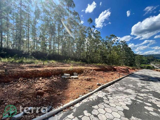 Terreno / Lote para Venda em Doutor Pedrinho/SC Centro