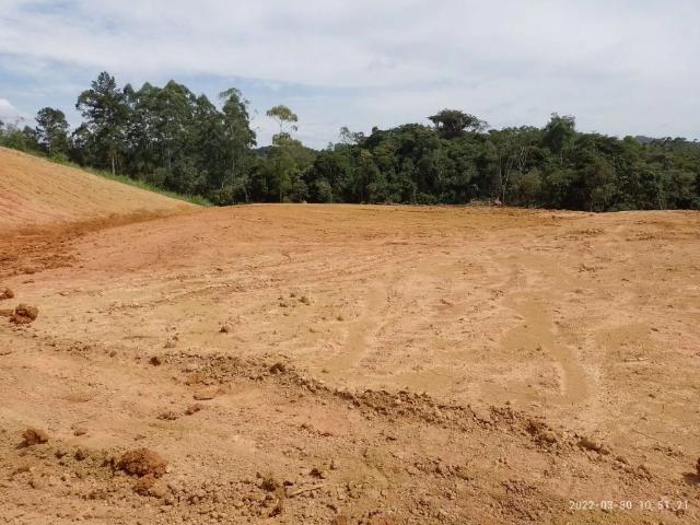 Terreno / Lote para Venda em Doutor Pedrinho/SC Centro