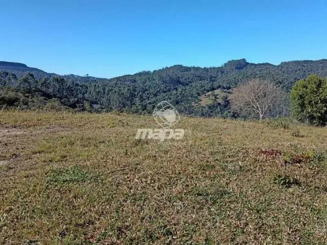 Terreno / Lote para Venda em Doutor Pedrinho/SC Centro