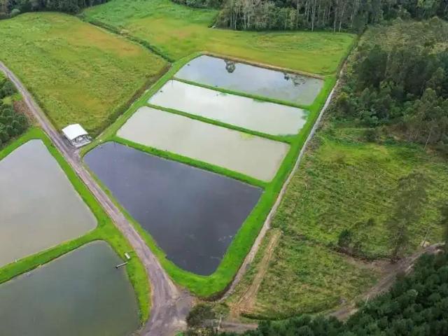 Terreno / Lote para Venda em Doutor Pedrinho/SC Centro