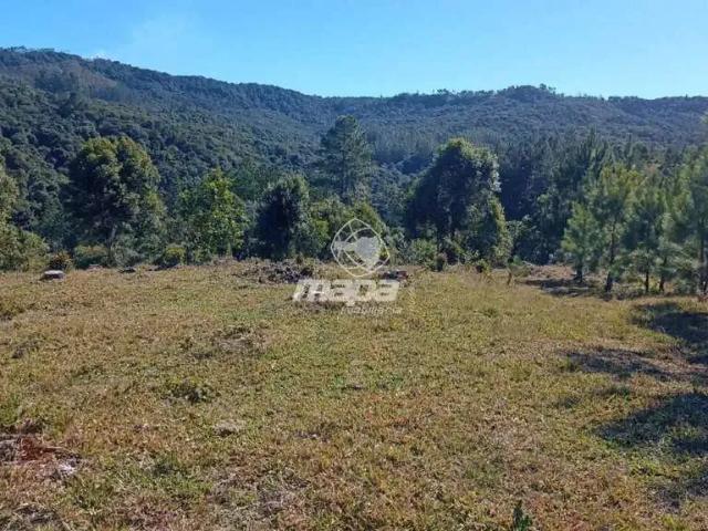 Terreno / Lote para Venda em Doutor Pedrinho/SC Centro