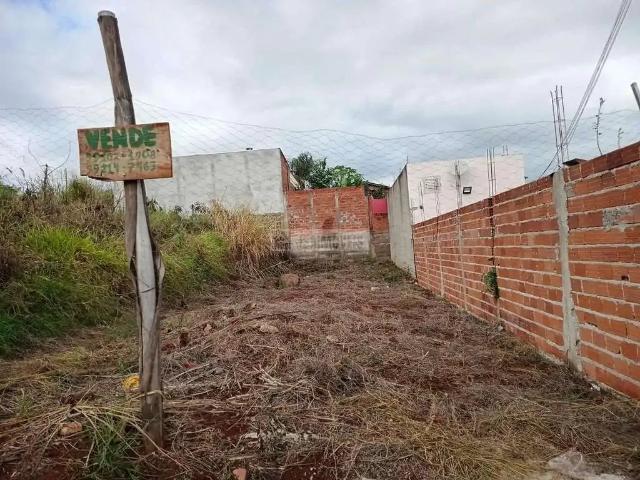 Terreno / Lote para Venda em Dumont/SP Vila Rizzi