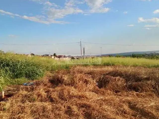 Terreno / Lote para Venda em Dumont/SP Jardim Maria Cocarelli