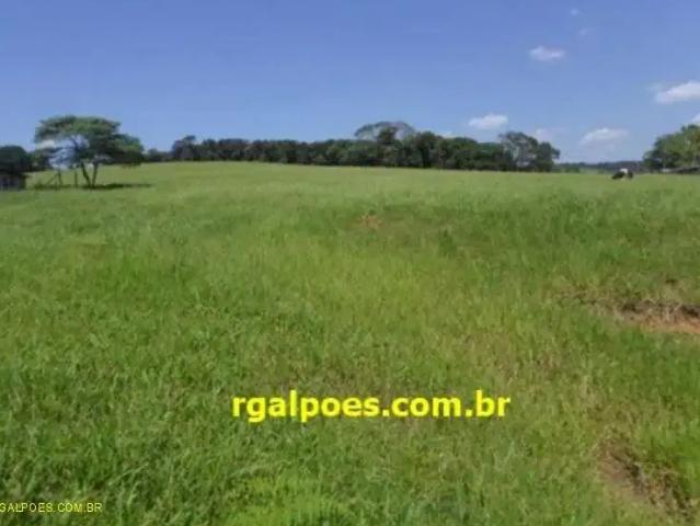 Terreno / Lote para Venda em Duque de Caxias/RJ Vila Maria Helena