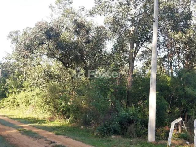 Terreno / Lote para Venda em Eldorado do Sul/RS Centro