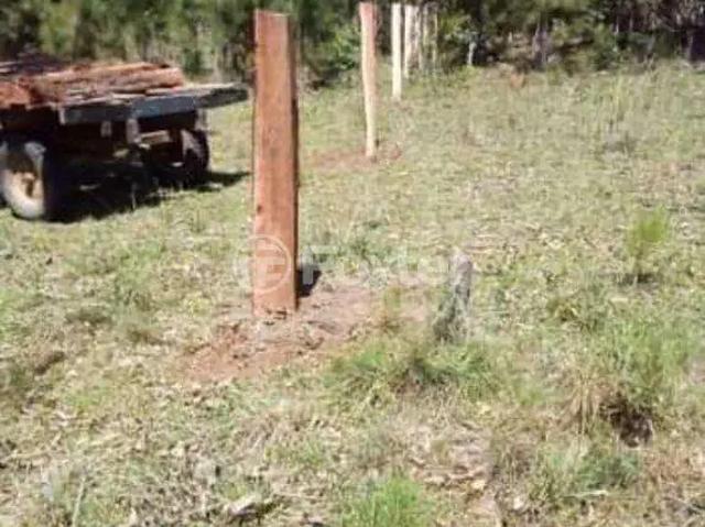 Terreno / Lote para Venda em Eldorado do Sul/RS Parque Eldorado