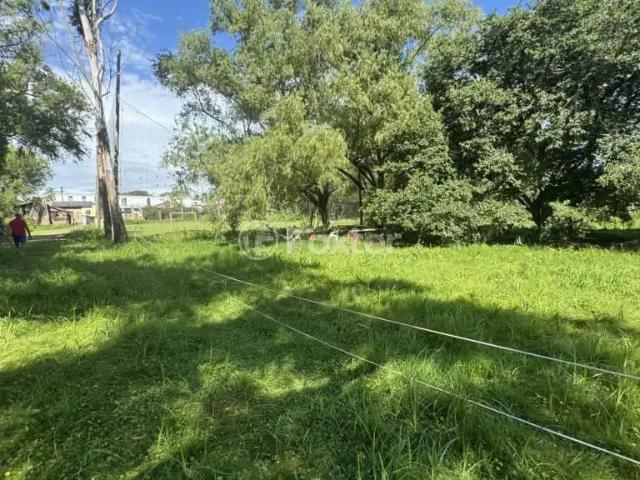Terreno / Lote para Venda em Eldorado do Sul/RS Picada