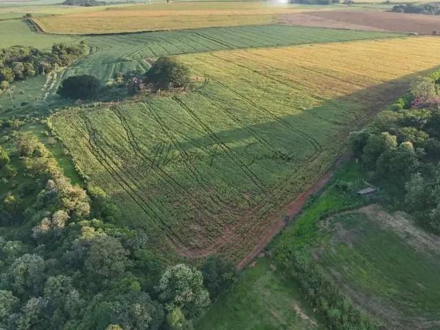 Terreno / Lote para Venda em Elias Fausto/SP Cardeal