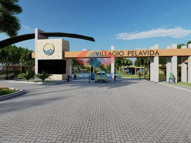 Terreno / Lote para Venda em Elias Fausto/SP Centro