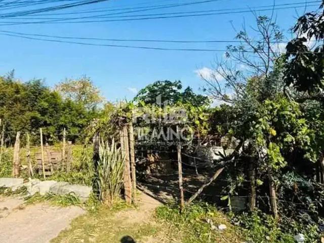 Terreno / Lote para Venda em Embu das Artes/SP Chácaras Caxingui
