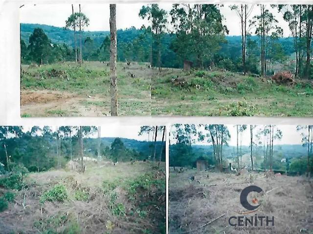 Terreno / Lote para Venda em Embu das Artes/SP Invernada