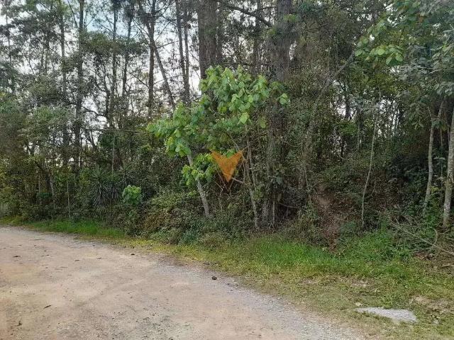 Terreno / Lote para Venda em Embu das Artes/SP Invernada