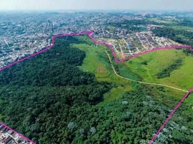 Terreno / Lote para Venda em Embu das Artes/SP Jardim Ângela