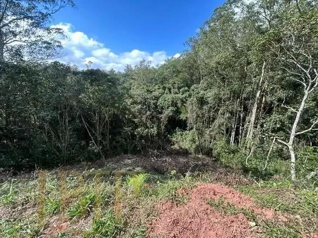 Terreno / Lote para Venda em Embu das Artes/SP Jardim Indaiá