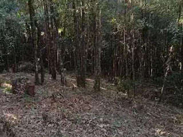 Terreno / Lote para Venda em Embu Guaçu/SP Chácara São Geraldo