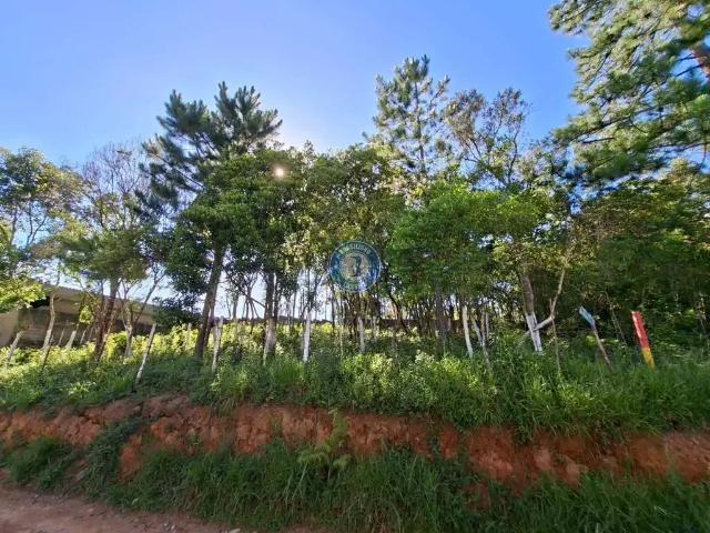 Terreno / Lote para Venda em Embu Guaçu/SP Zona Rural