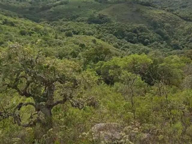 Terreno / Lote para Venda em Encruzilhada do Sul/RS Zona Rural