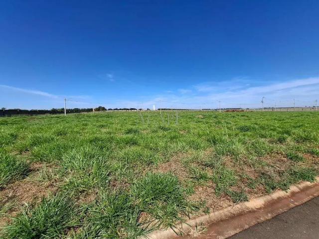 Terreno / Lote para Venda em Engenheiro Coelho/SP Jardim do Lago II