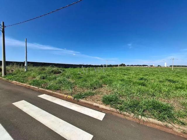 Terreno / Lote para Venda em Engenheiro Coelho/SP Jardim do Lago II