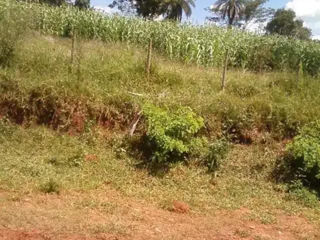 Terreno / Lote para Venda em Esmeraldas/MG Cidade Jardim