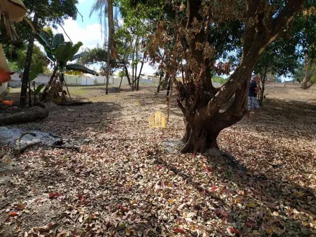 Terreno / Lote para Venda em Esmeraldas/MG Cidade Jardim