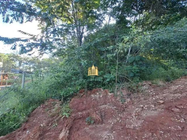 Terreno / Lote para Venda em Esmeraldas/MG Encontro das Águas