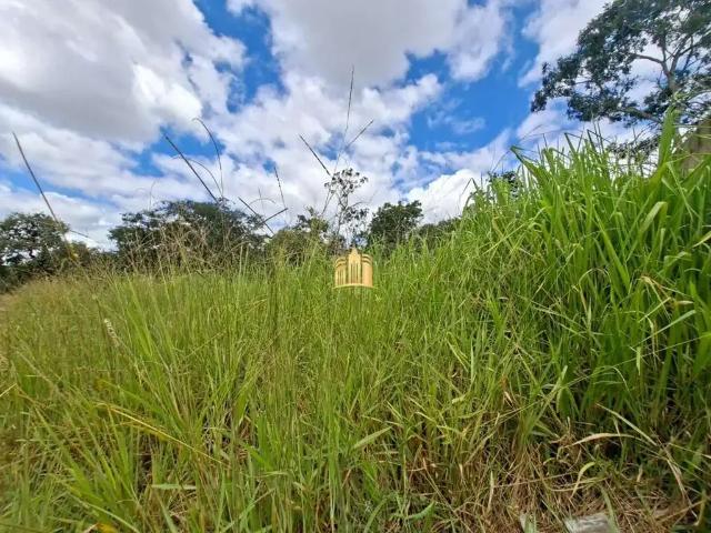Terreno / Lote para Venda em Esmeraldas/MG Fernão Dias
